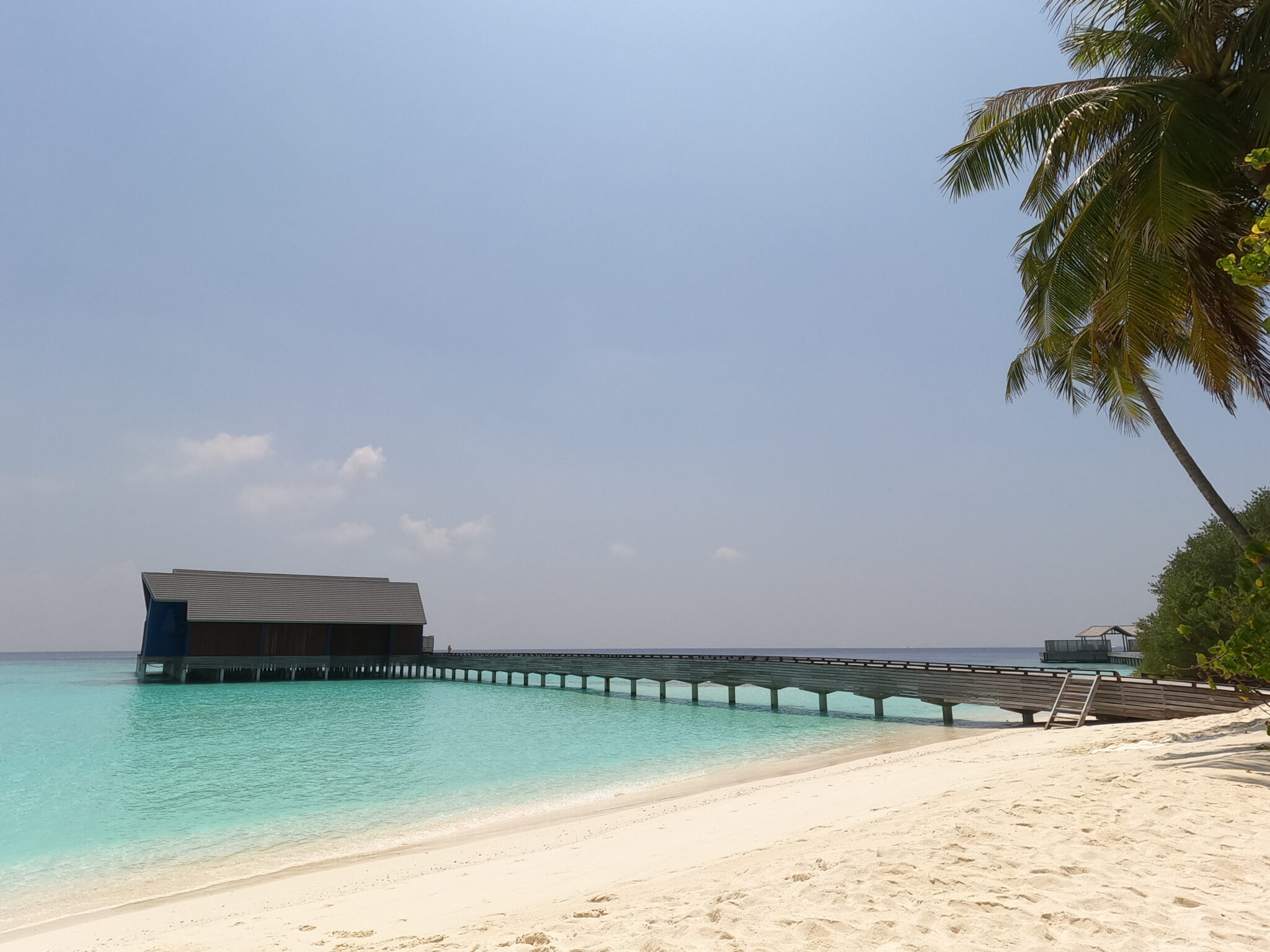 Rejse til Maldiverne